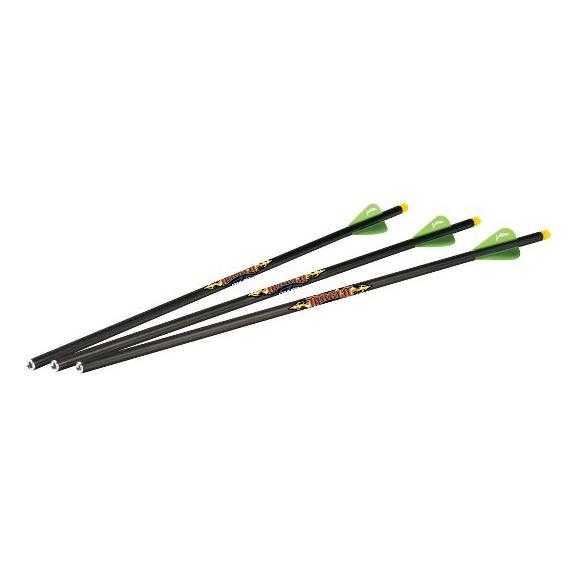 Excalibur Diablo Carbon Arrows with Beacon Nock | Cabela's